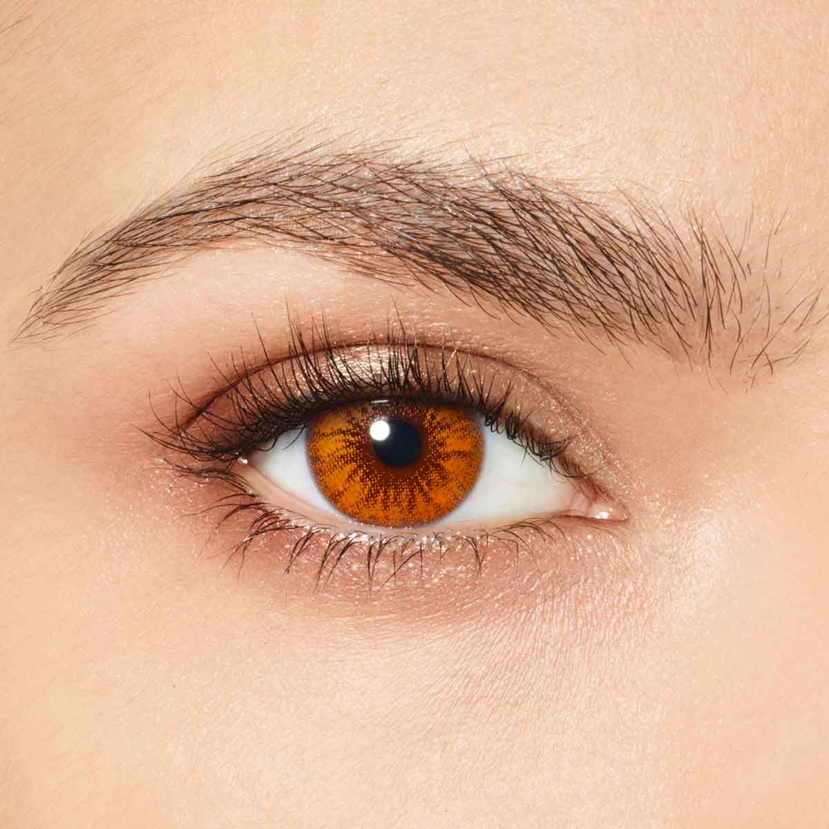 Desio|Espresso|Colored Contact Lenses|Lenzy Egypt