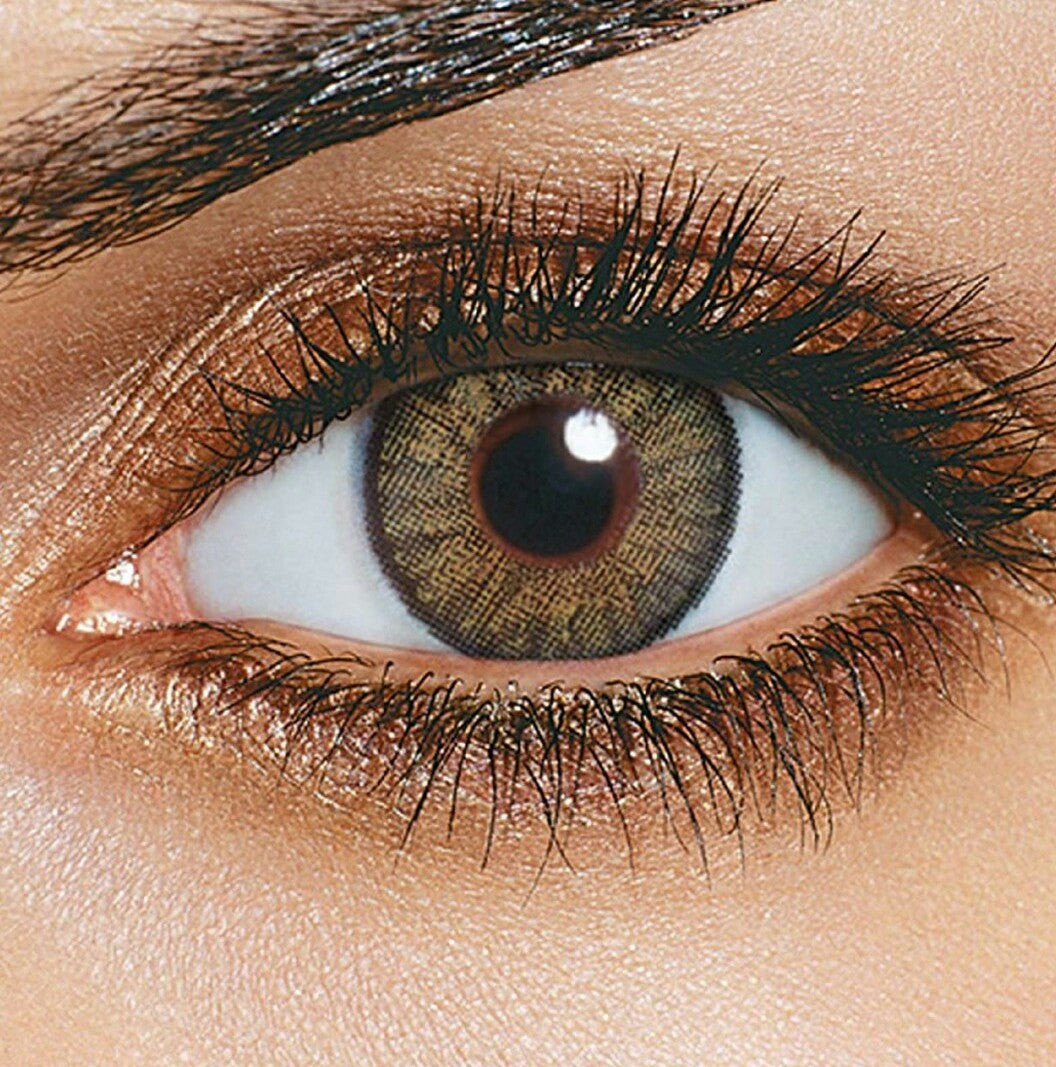 Freshlook |Colorblends|Pure Hazel|Colored Lenses|Lenzy Egypt