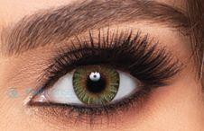 Freshlook - 1 Day - Green|Colored Lenses|Lenzy Egypt